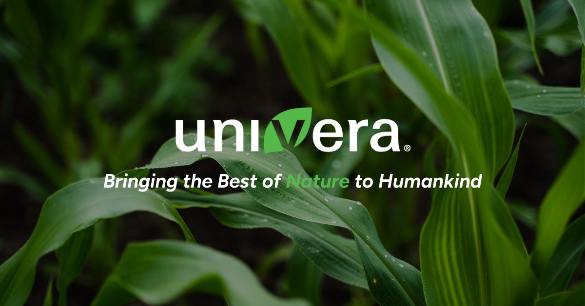Univera New Website Guideline | Account & Navigation Help